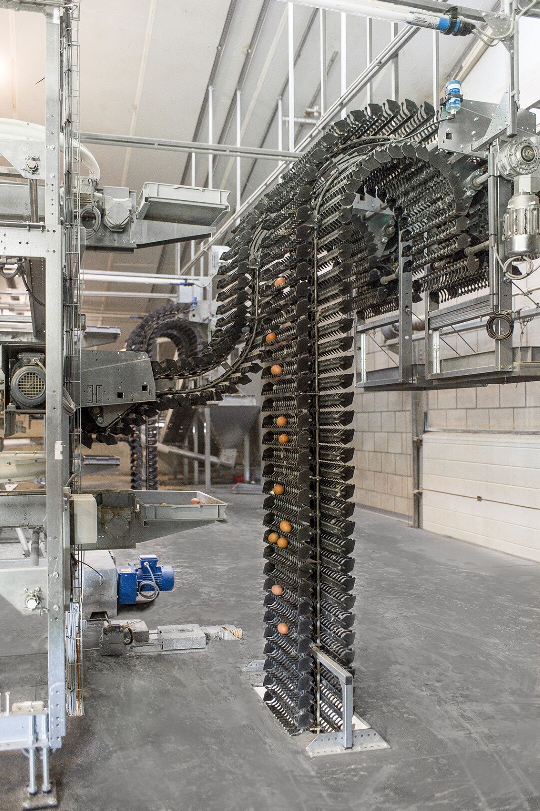 Pegasus - Vencomatic Group